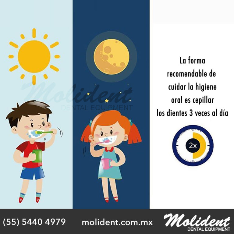 La importancia de cepillarse los dientes diariamente - Molident S.A. de ...